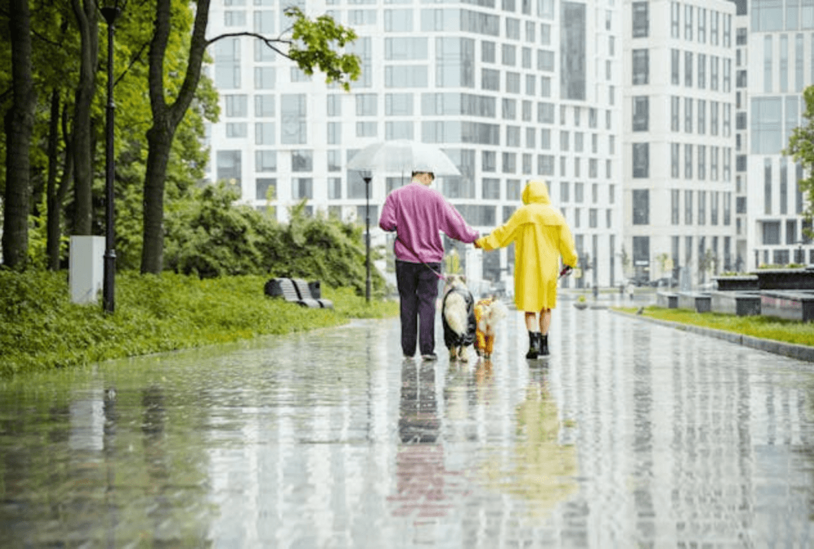 Generational impact, with or without children - The FM Area Foundation